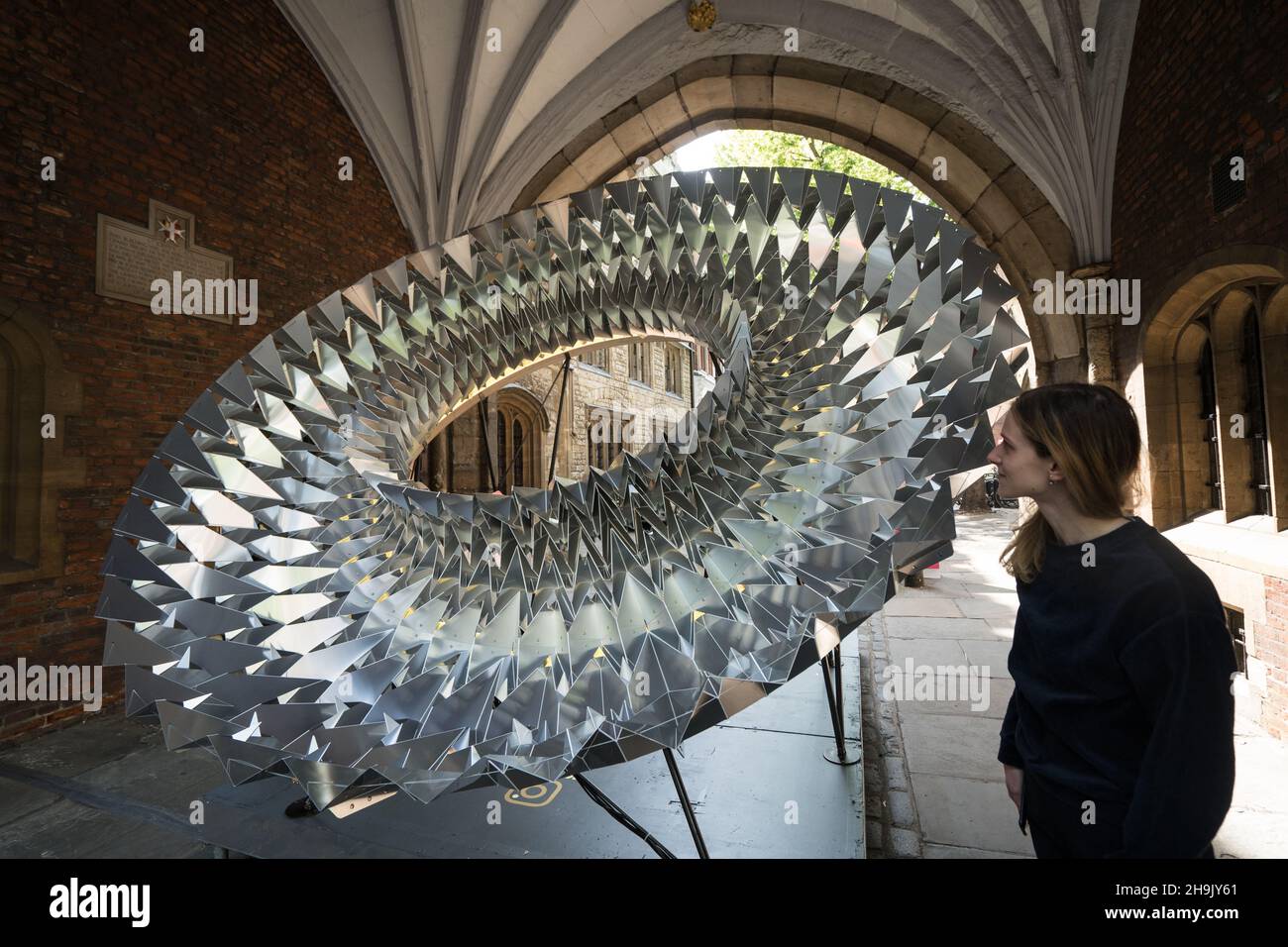 Royal Approval, the biggest ruff ever created and made from sheet ...