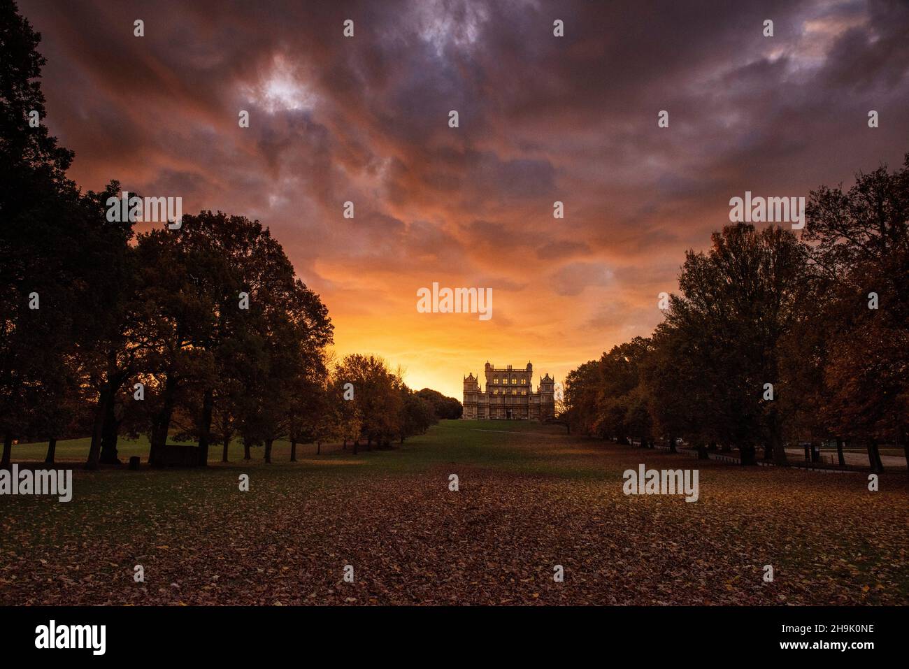 Autumn sunrise at Wollaton Park in Nottingham Nottinghamshire England ...