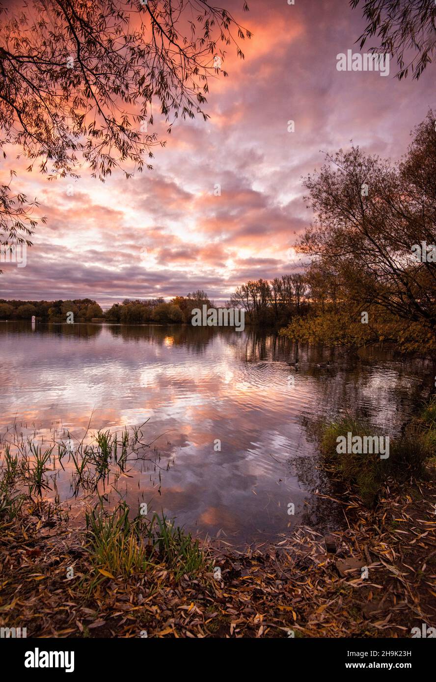 Autumn sunrise on the lake at Colwick Park, Nottinghamshire England UK ...