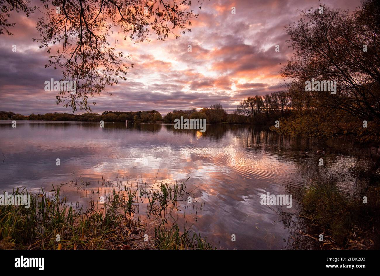 Autumn sunrise on the lake at Colwick Park, Nottinghamshire England UK ...