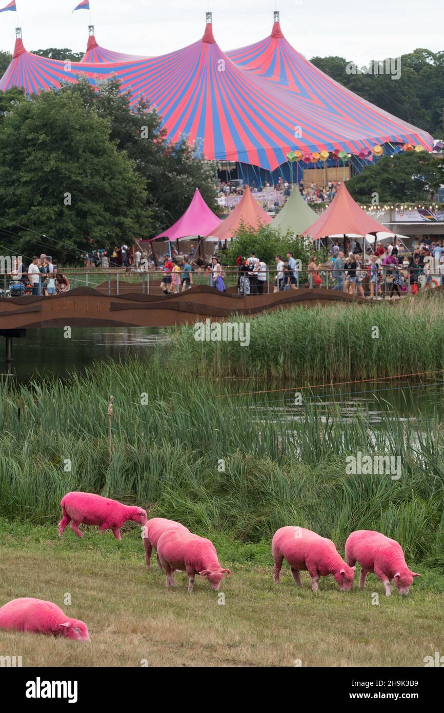 Latitude sheep 2019 hi-res stock photography and images - Alamy