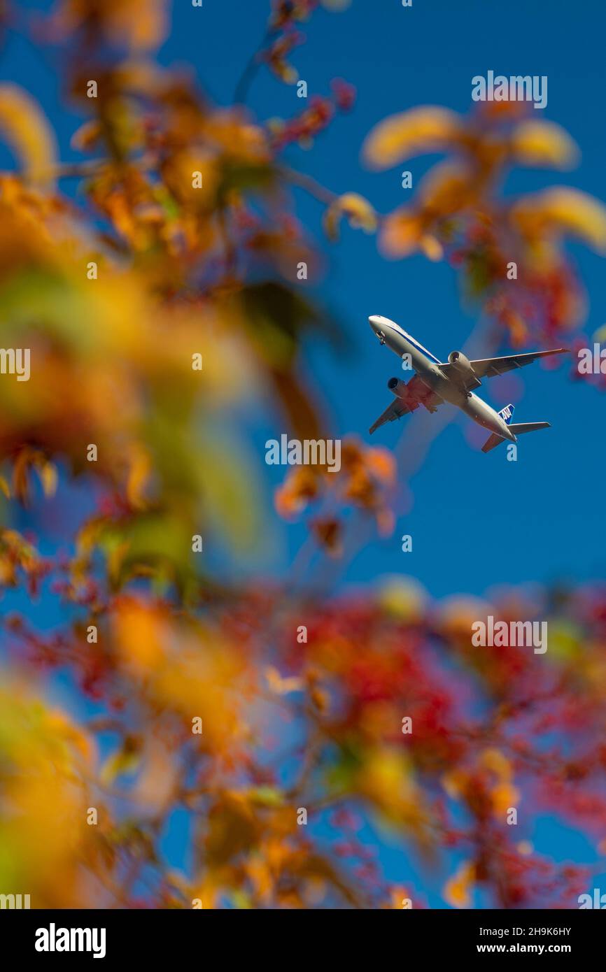 A plane passing over Kew Gardens in London. Photo date: Monday, October ...