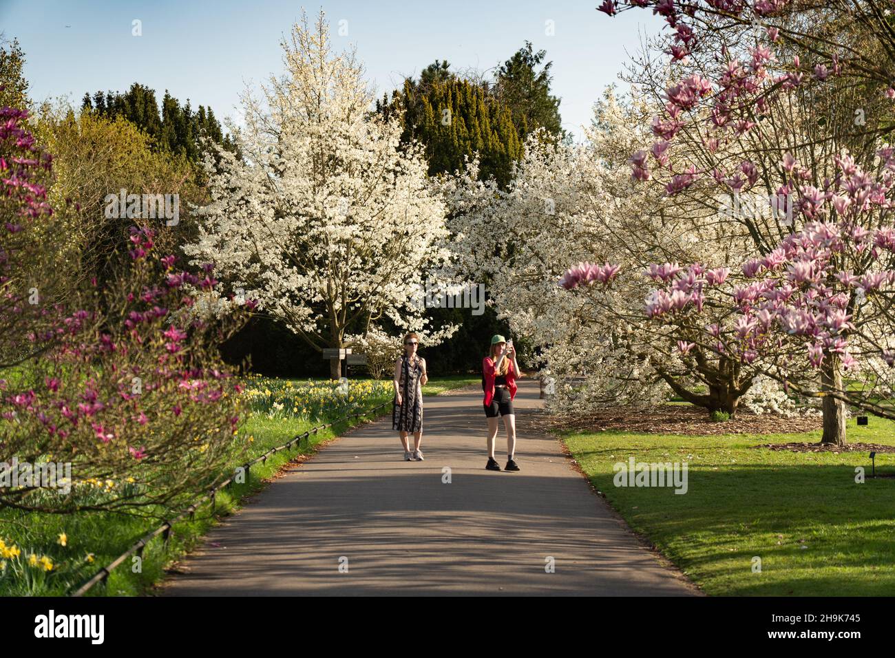 Kew Gardens in London was the hottest place in the UK on the hottest ...