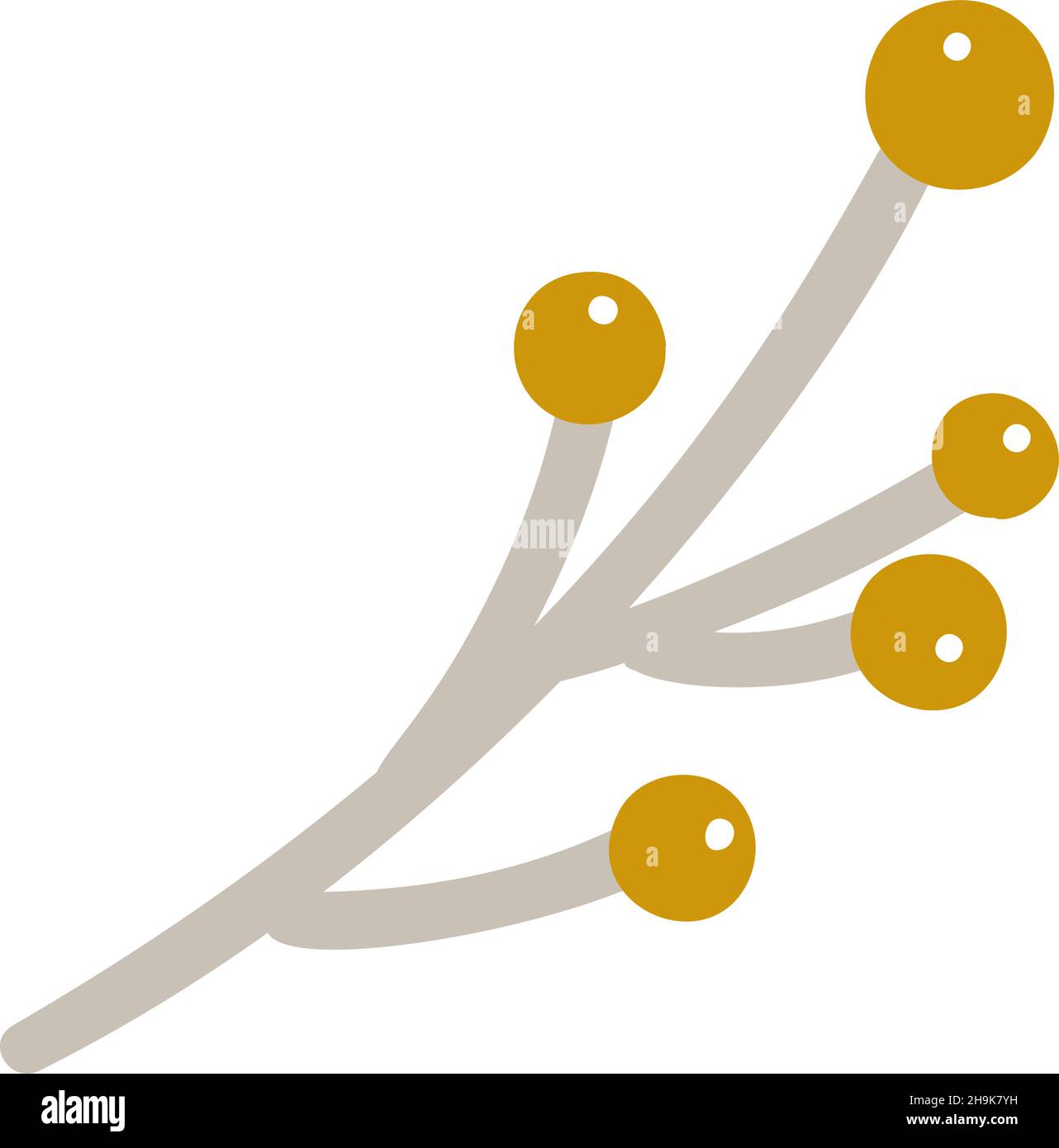 Vector branch with berries on white background. Floral element ...