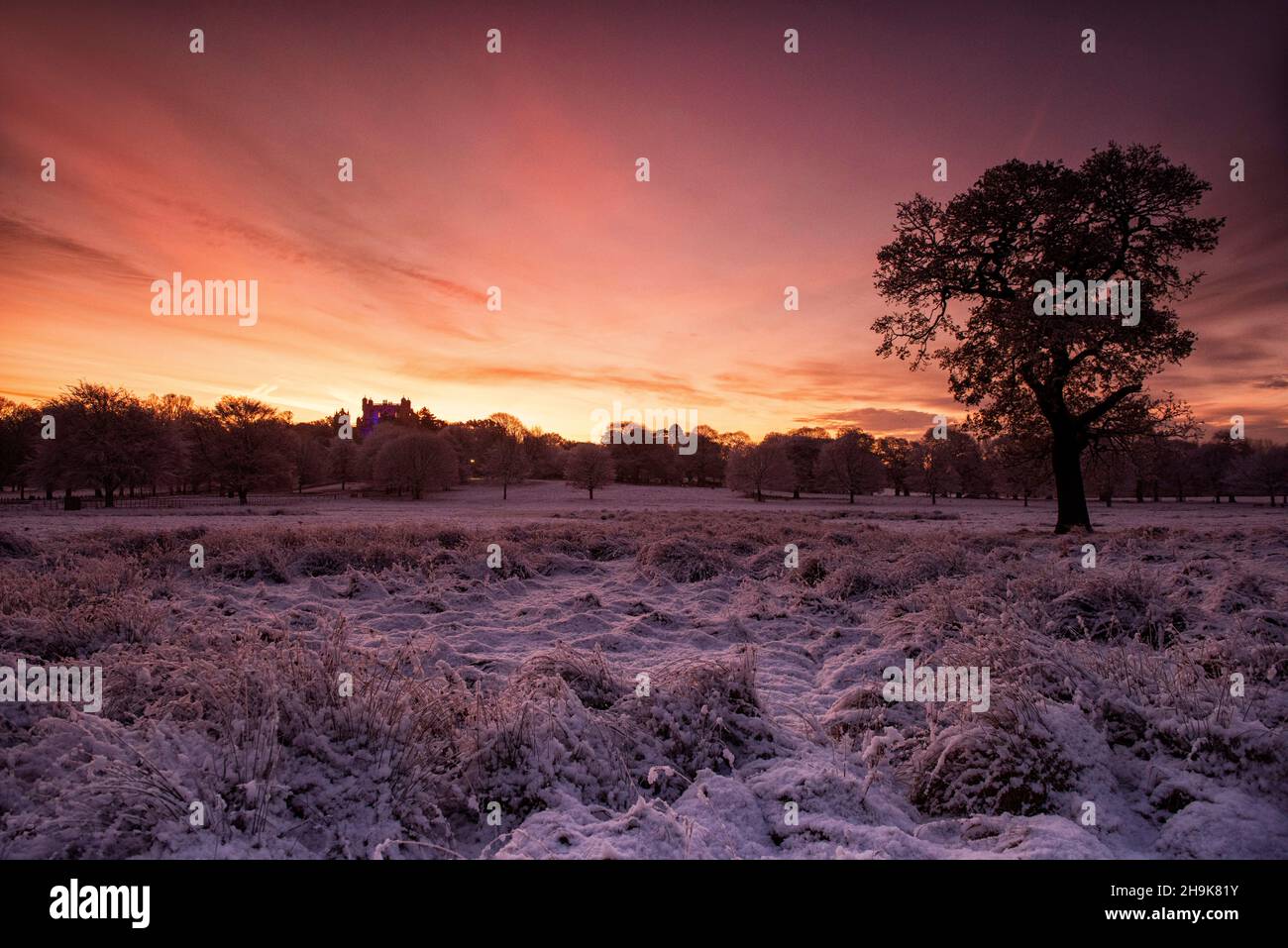 Snowy winter sunrise at Wollaton Hall Park in Nottingham ...