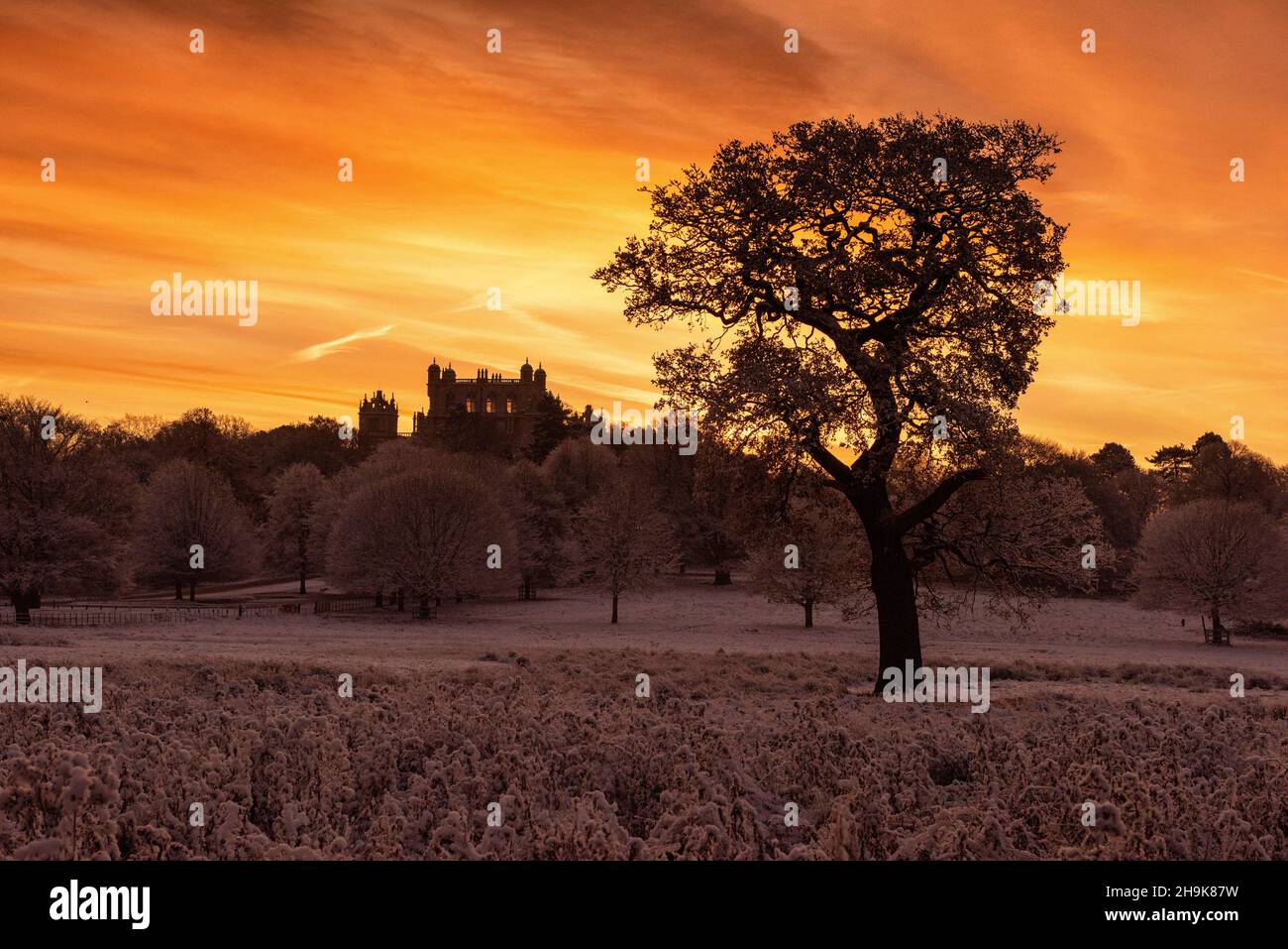 Snowy winter sunrise at Wollaton Hall Park in Nottingham ...