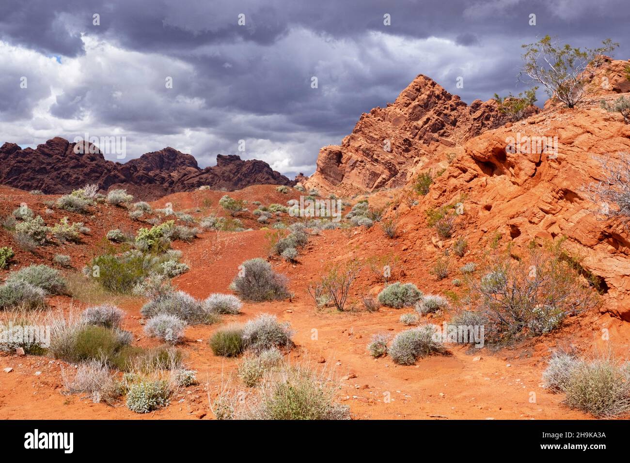 Red sandstone rock formations in Valley of Fire State Park near Overton ...