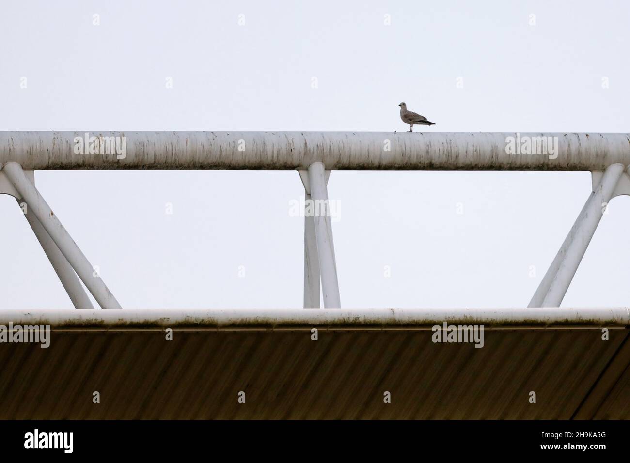 Sir bobby robson stand hi-res stock photography and images - Alamy