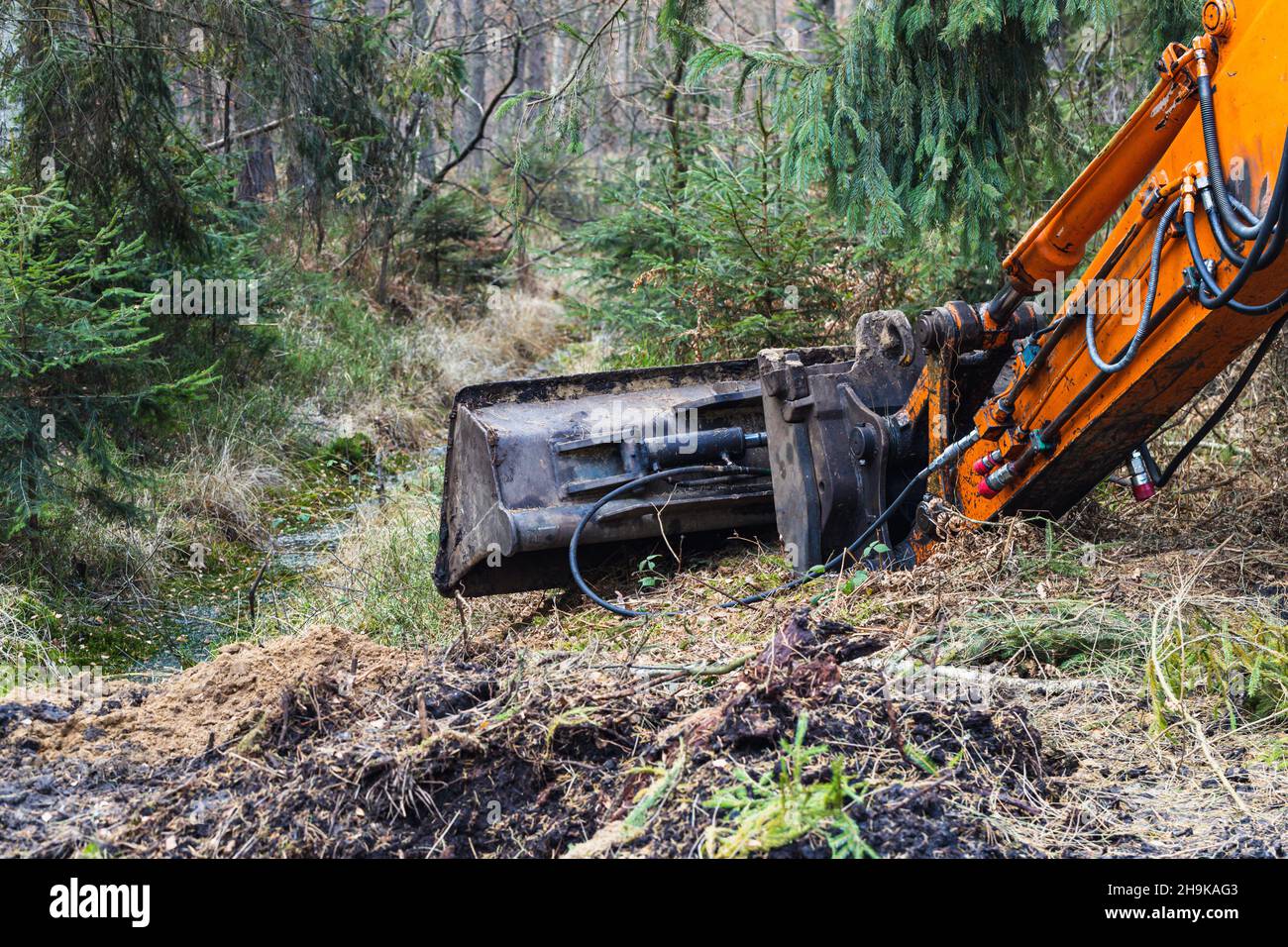 Heavy equipment working in the forest, The concept of deforestation ...