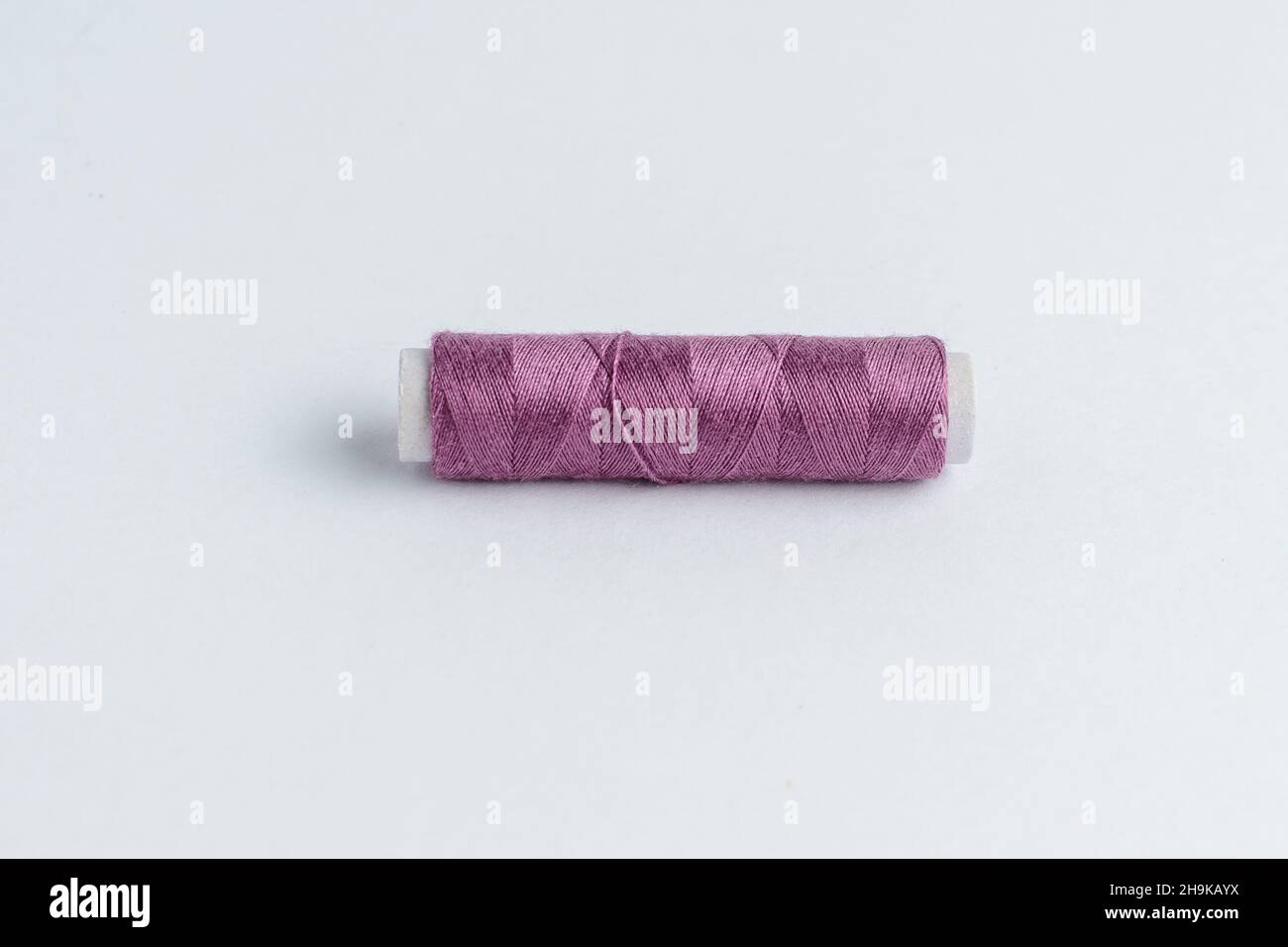 One vivid purple cotton spool of thread isolated on a white table Stock ...