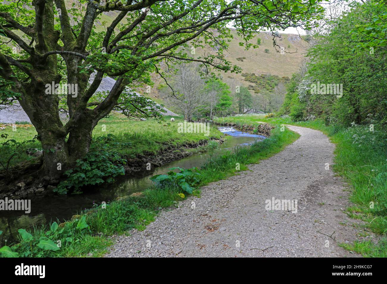 River Dove in Wolfscote Dale on the Staffordshire, Derbyshire border ...