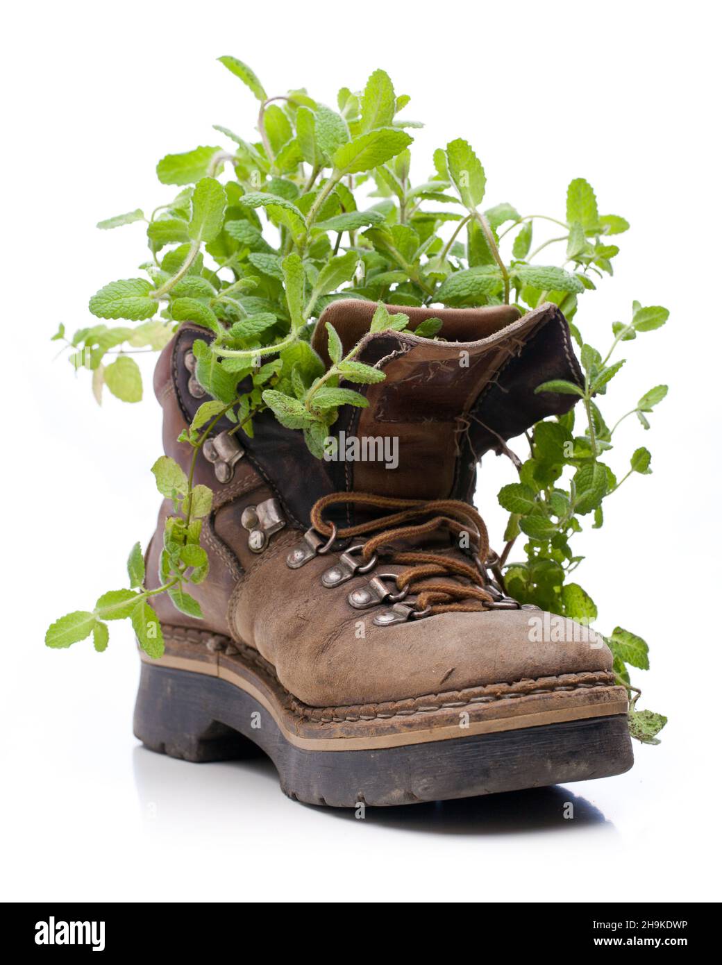 Recycling benefits Cut Out Stock Images & Pictures - Alamy