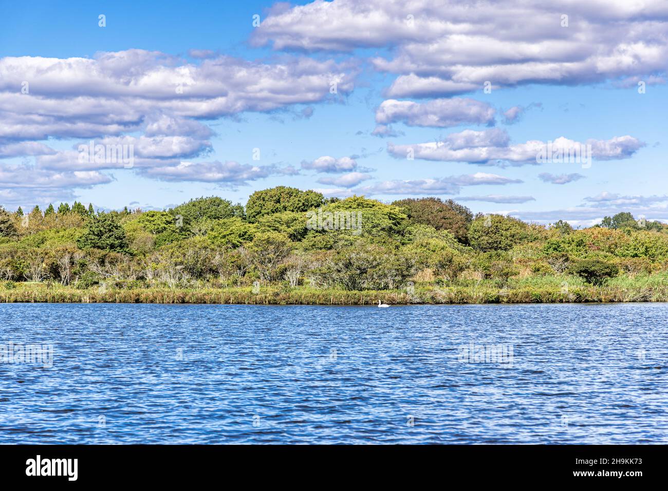 Natural Setting Discovery Place Nature Rebuild Is In Jeopardy After