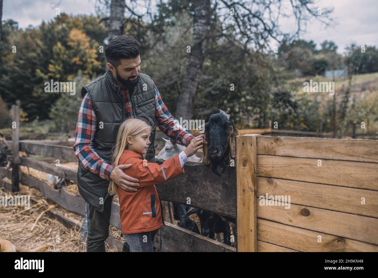 Farmer and his daughter standing close to donkeys at the farm Stock ...