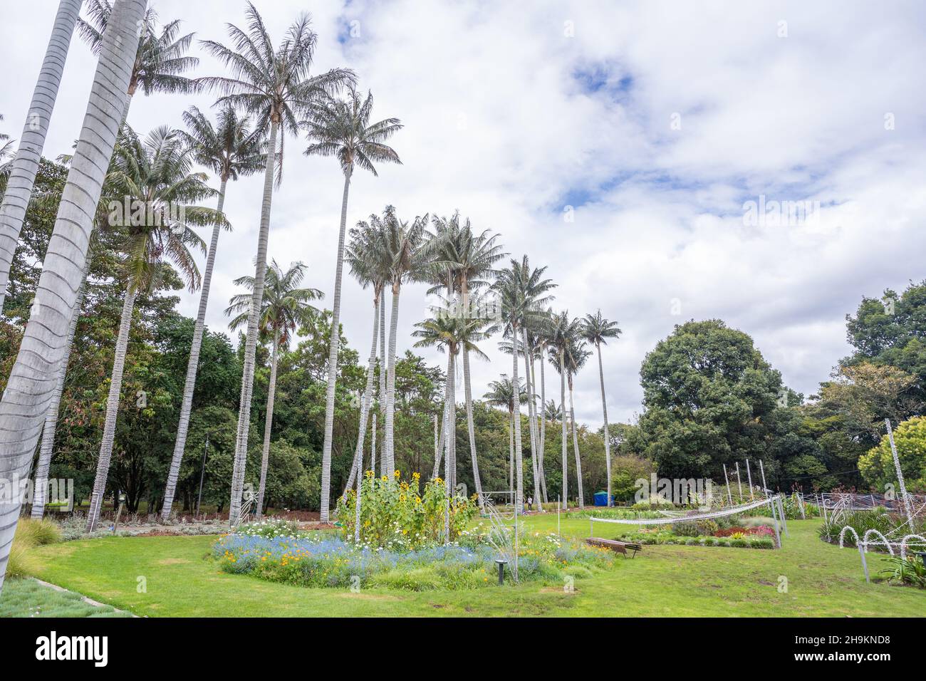 December 5, 2021, the Bogota Botanical Garden José Celestino Mutis. The ...
