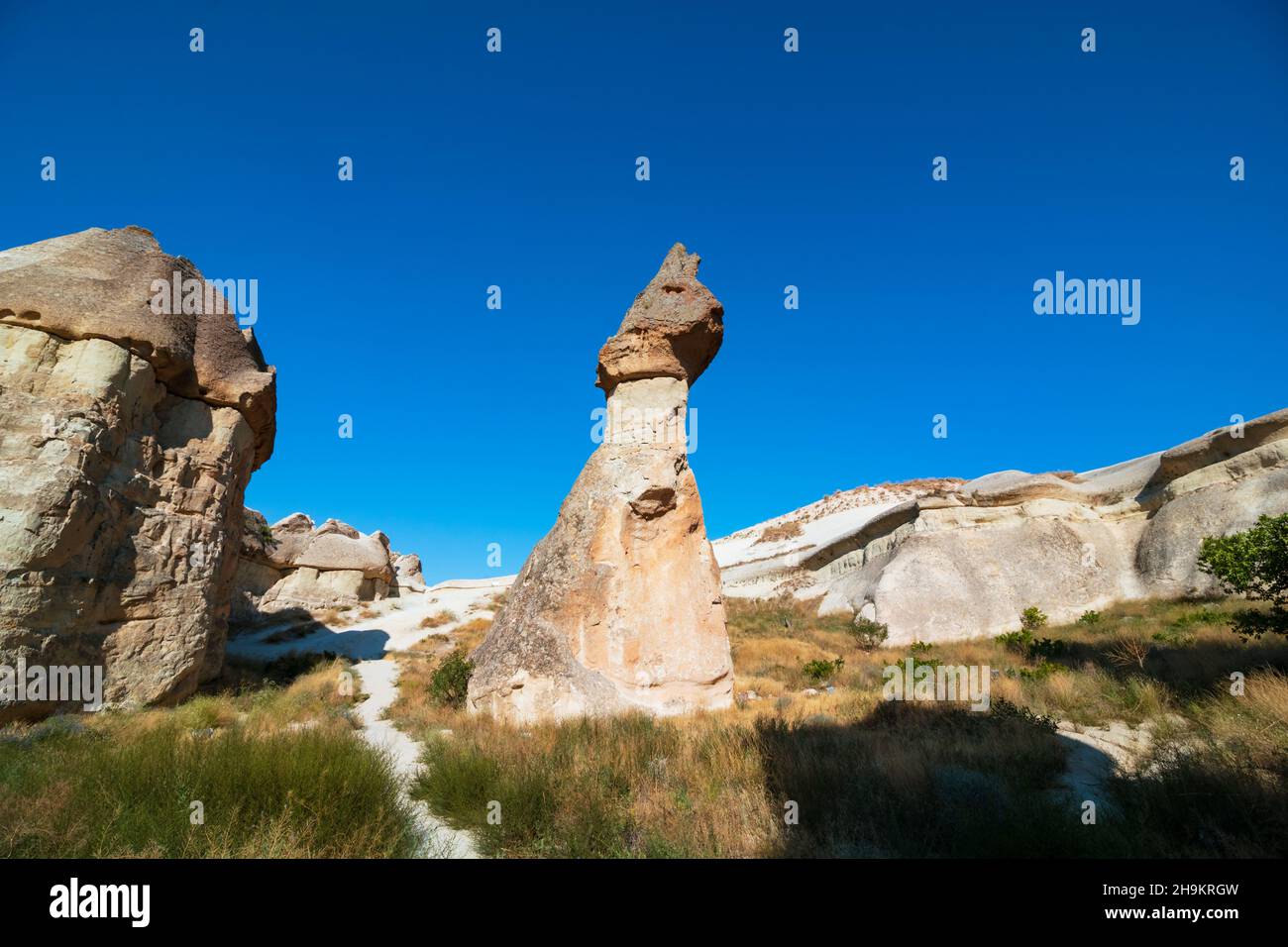 Hoodoo or Fairy Chimneys in Pasabagi Cappadocia. Cappadocia background ...