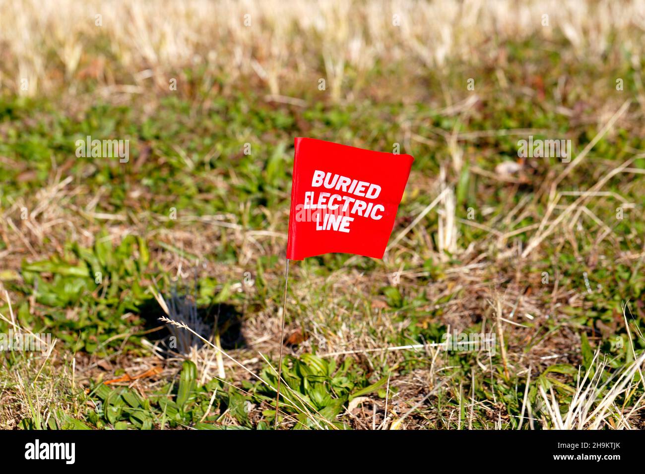 A Buried Electric Line marking flag in the grass marking the location ...