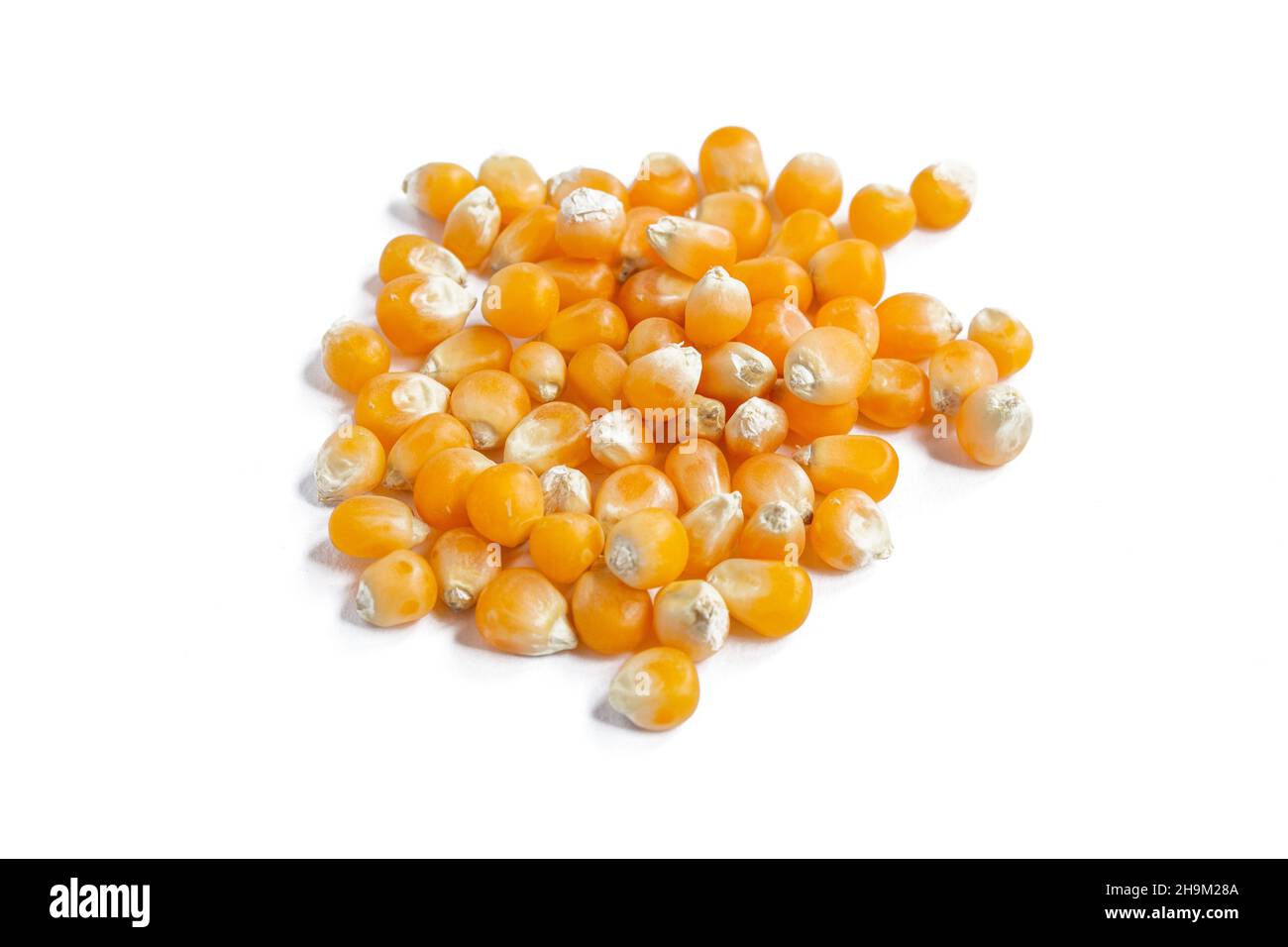Corn kernels isolated on white background, top view of group of corn ...