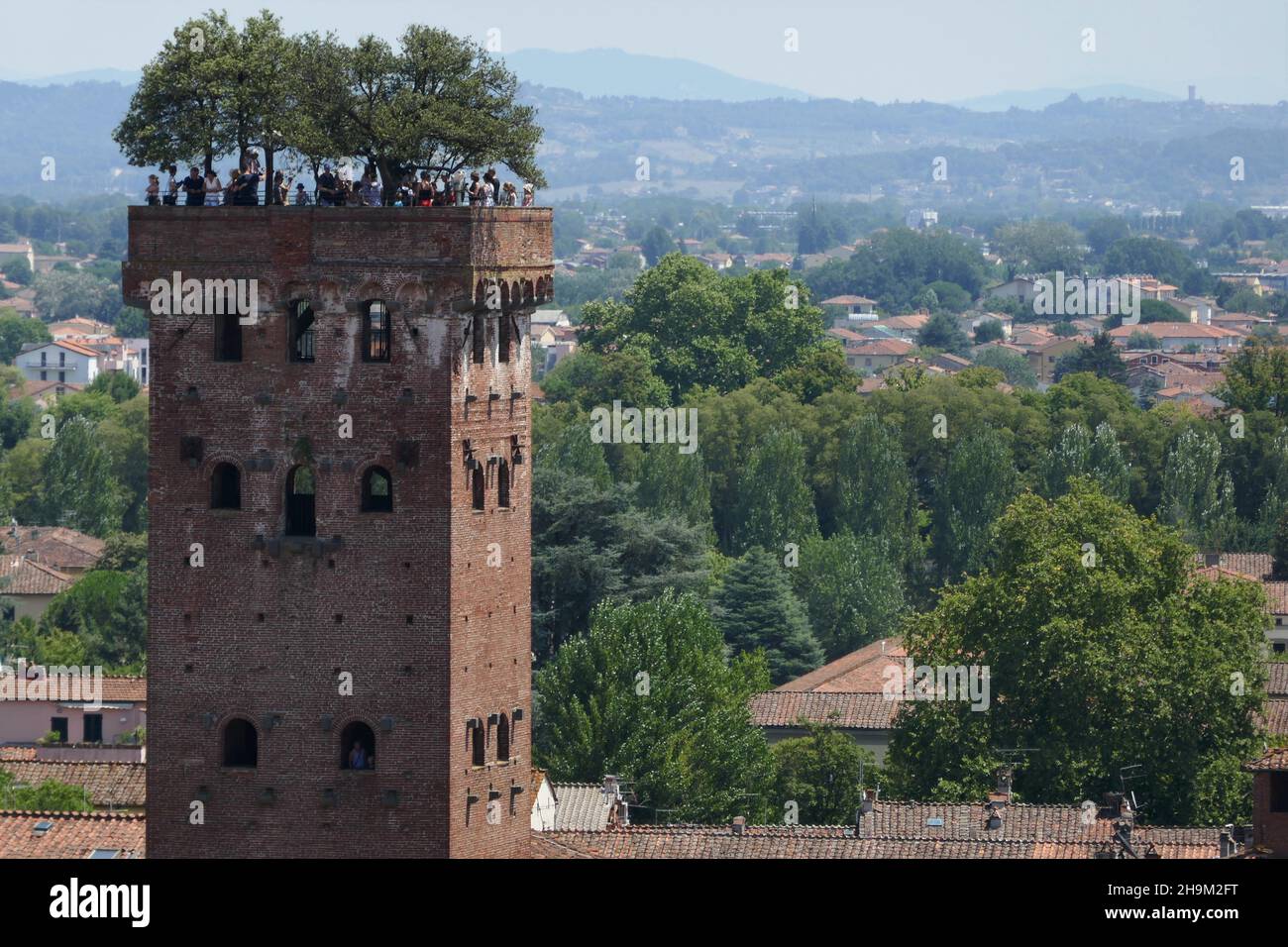 Torre Guinigi in Tuscan Lucca. There are trees on the roof. Italy ...