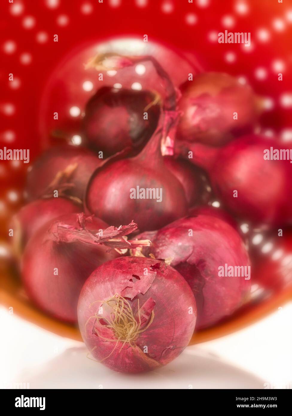 Close-up food still life with Red Onions rolling out of a red collinder ...