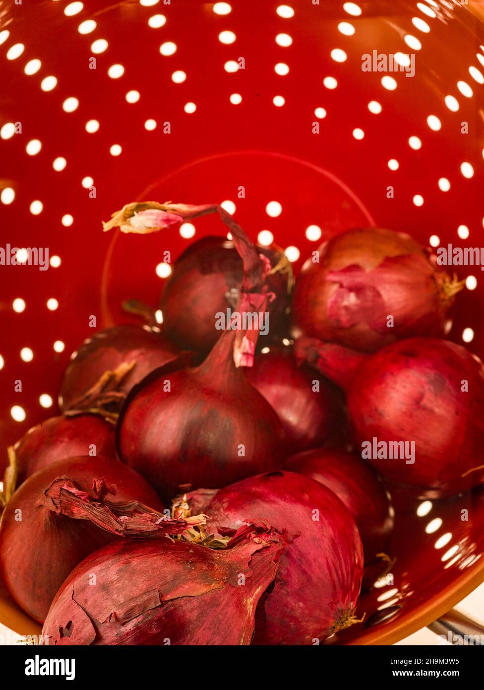 Close-up food still life with Red Onions rolling out of a red collinder ...