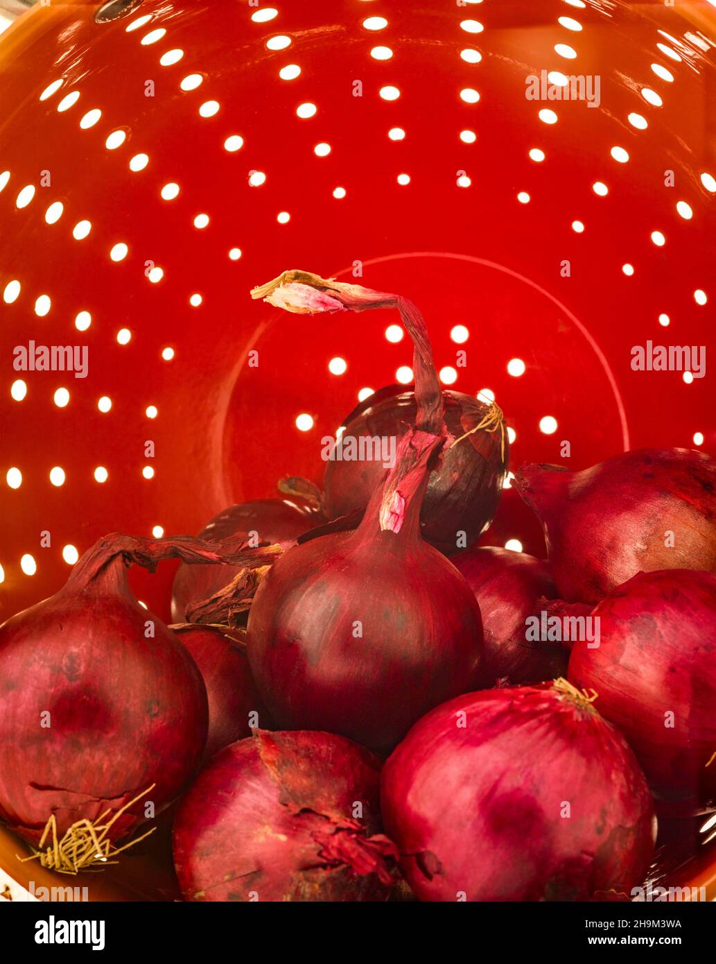 Close-up food still life with Red Onions rolling out of a red collinder ...