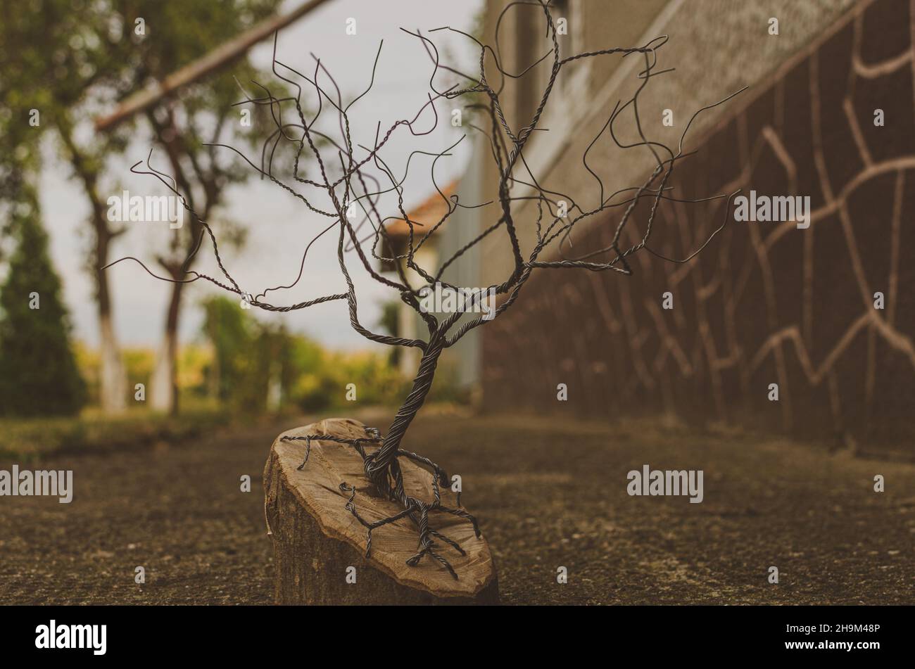 Closeup shot of a tree made of wire attached to a timber Stock Photo ...