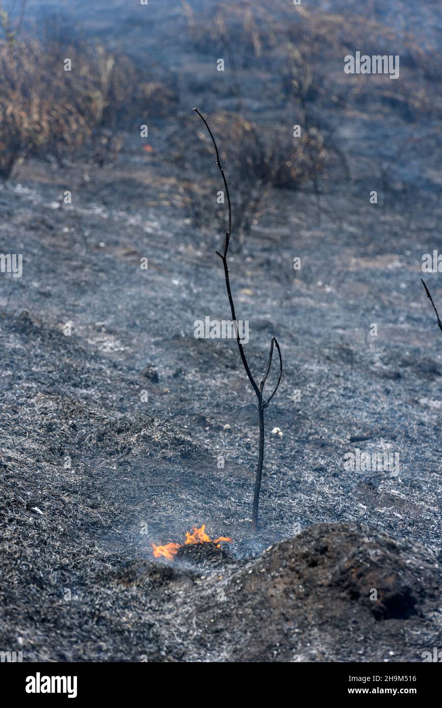 Burning rainforest farm brazil hi-res stock photography and images - Alamy