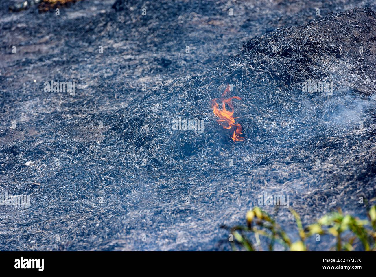 Burning rainforest farm brazil hi-res stock photography and images - Alamy