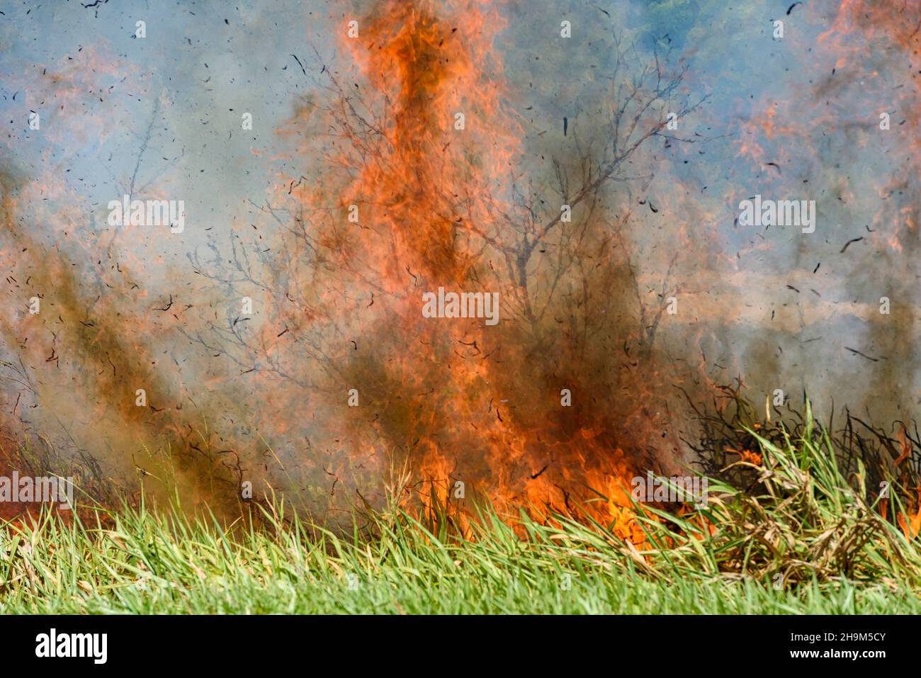 Burning rainforest farm brazil hi-res stock photography and images - Alamy