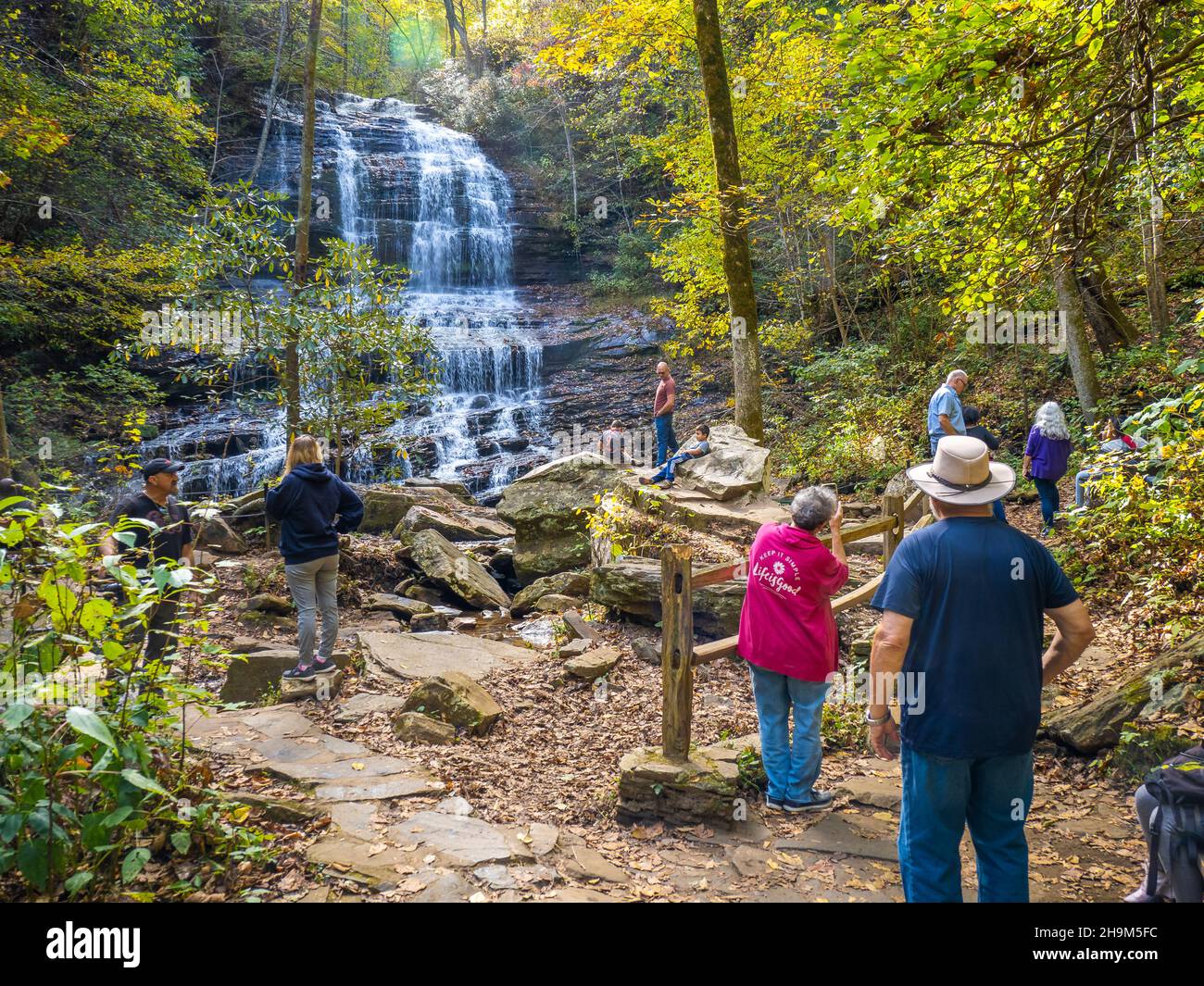 Waterfalls at Pearsons Waterfall and Glen off NC Hwy. 176, between the ...