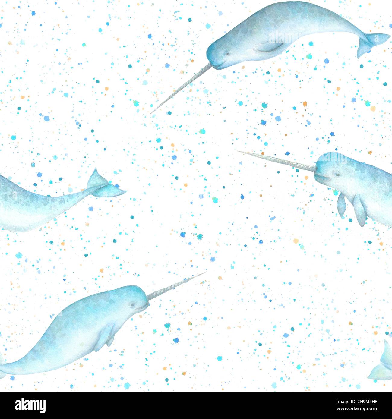 Narwhale tail hi-res stock photography and images - Alamy