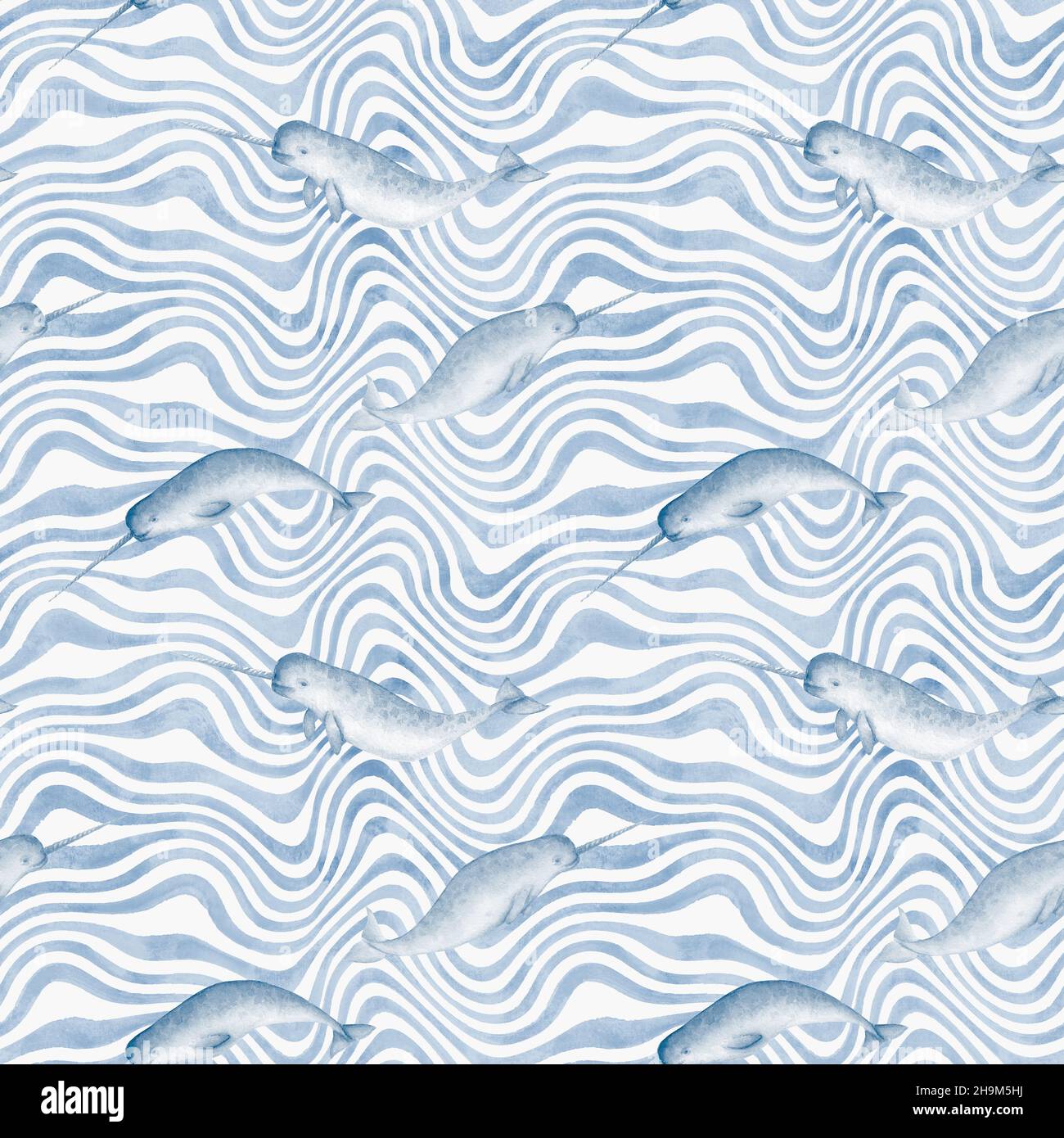 Narwhale tail hi-res stock photography and images - Alamy