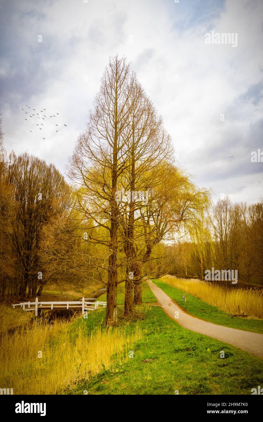 Beautiful autumn landscape from Europe in portrait orientation cloudy ...