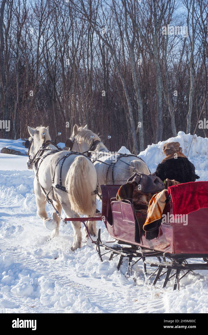 Winter Sleigh Ride, Allegra Farm, East Haddam, Connecticut, USA Stock ...
