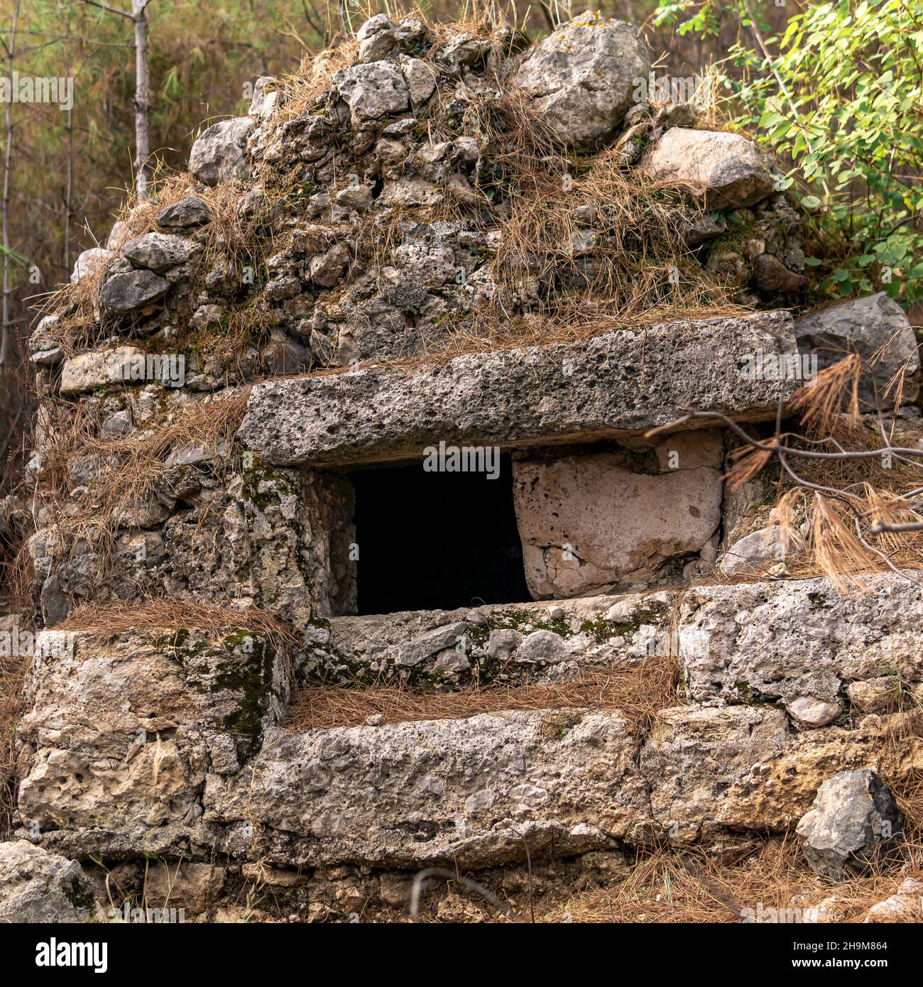 Tomb overgrown hi-res stock photography and images - Alamy