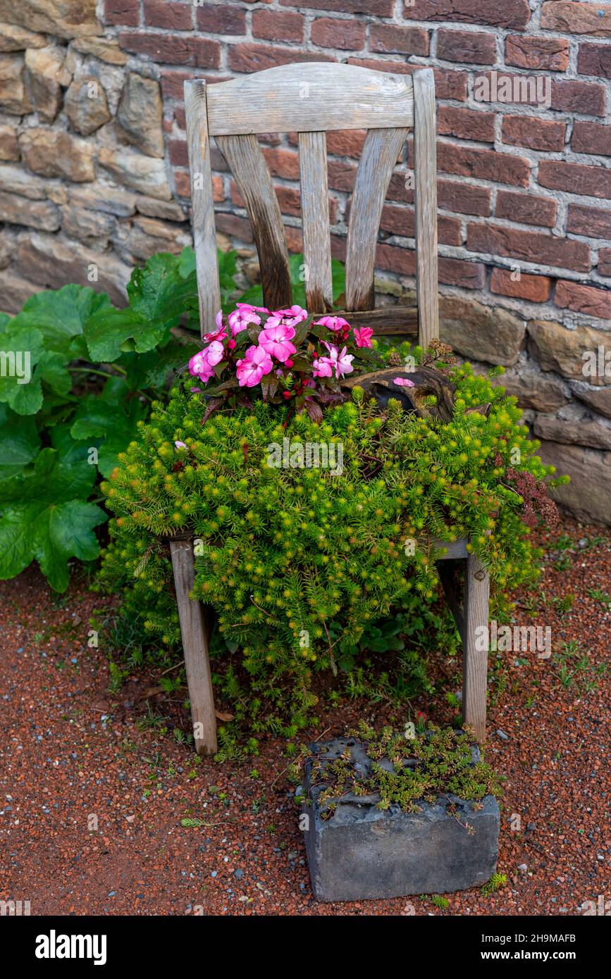 Model gardens in the Grugapark, horticultural design of various ...