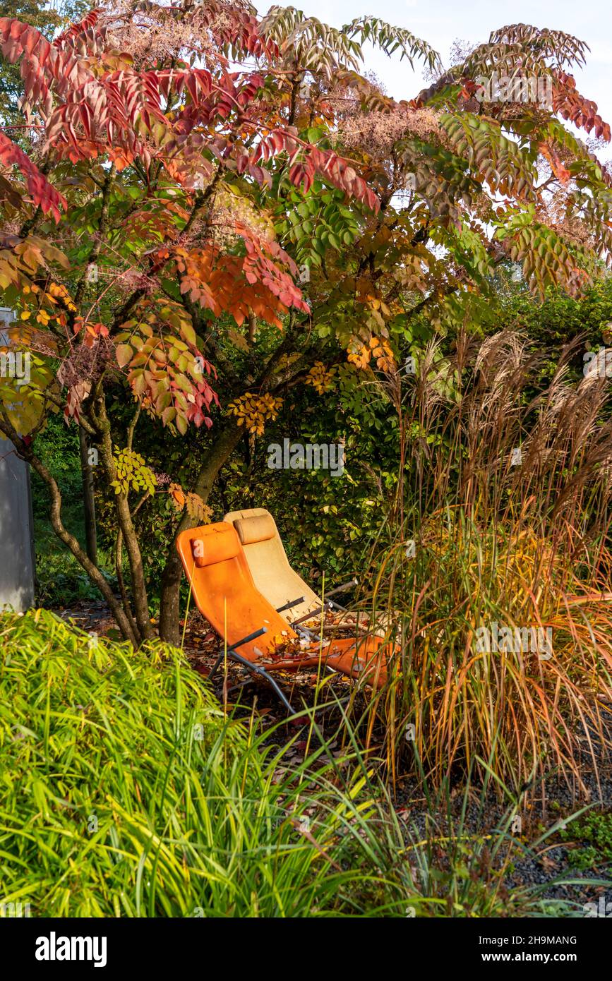 Model gardens in the Grugapark, autumn, horticultural design of ...