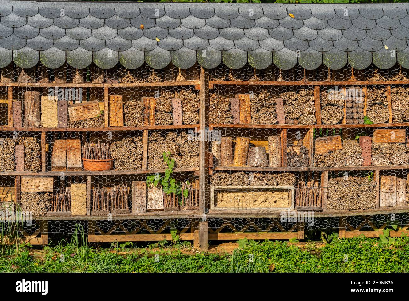 Model gardens in the Grugapark, garden at the House of Bees, insect ...
