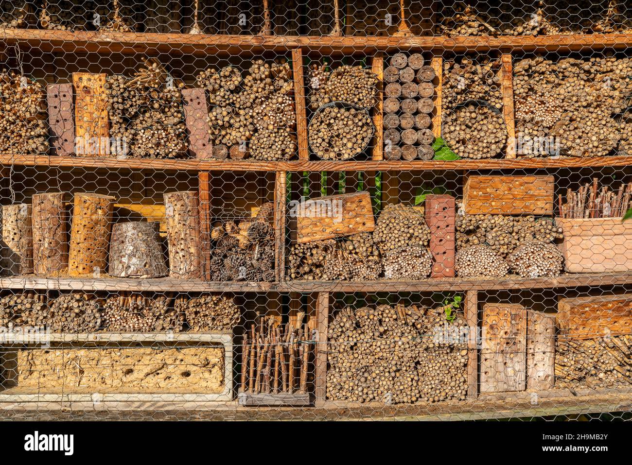Model gardens in the Grugapark, garden at the House of Bees, insect ...