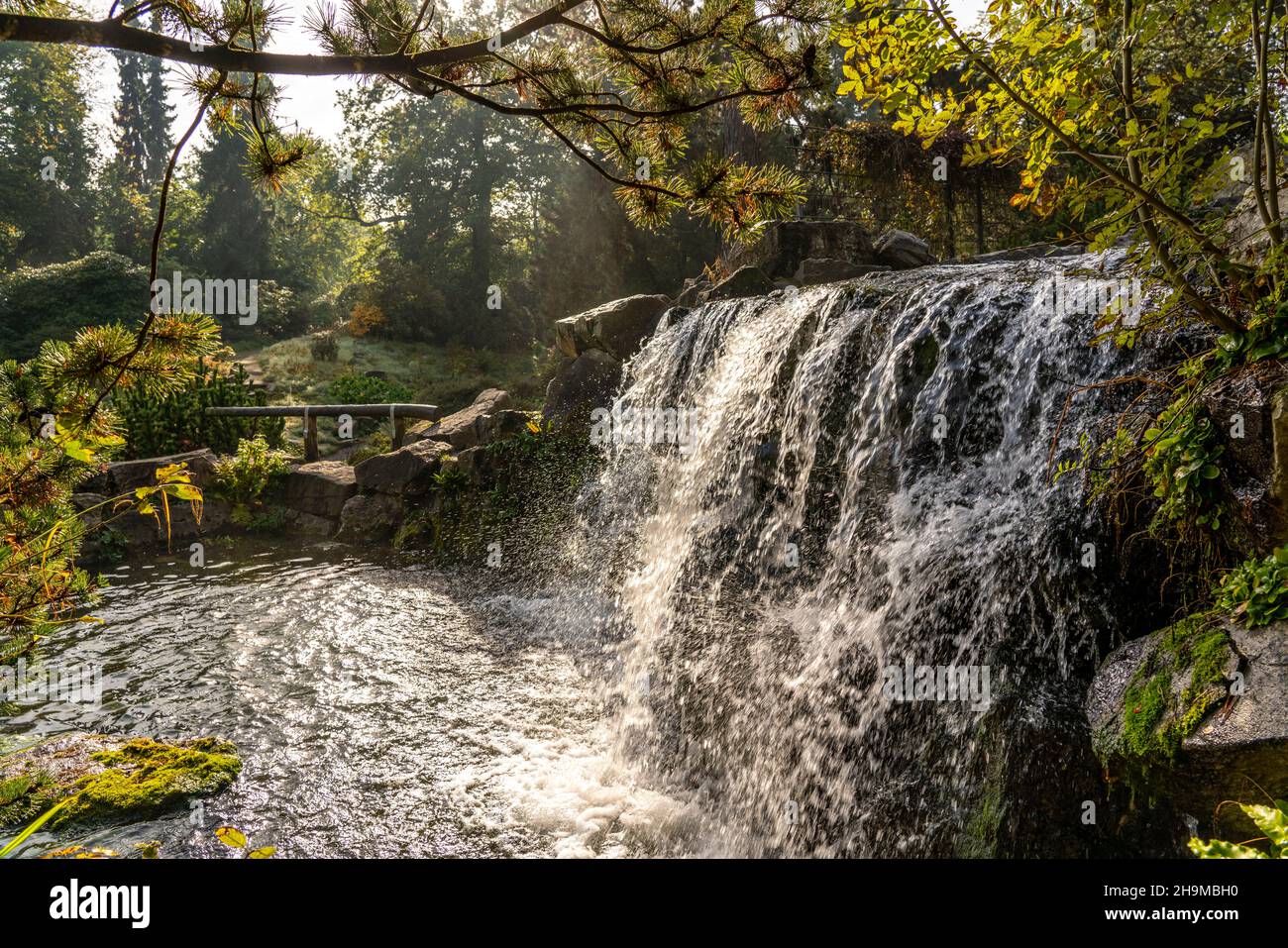 The Grugapark, Essen, botanical garden, park for leisure and recreation ...