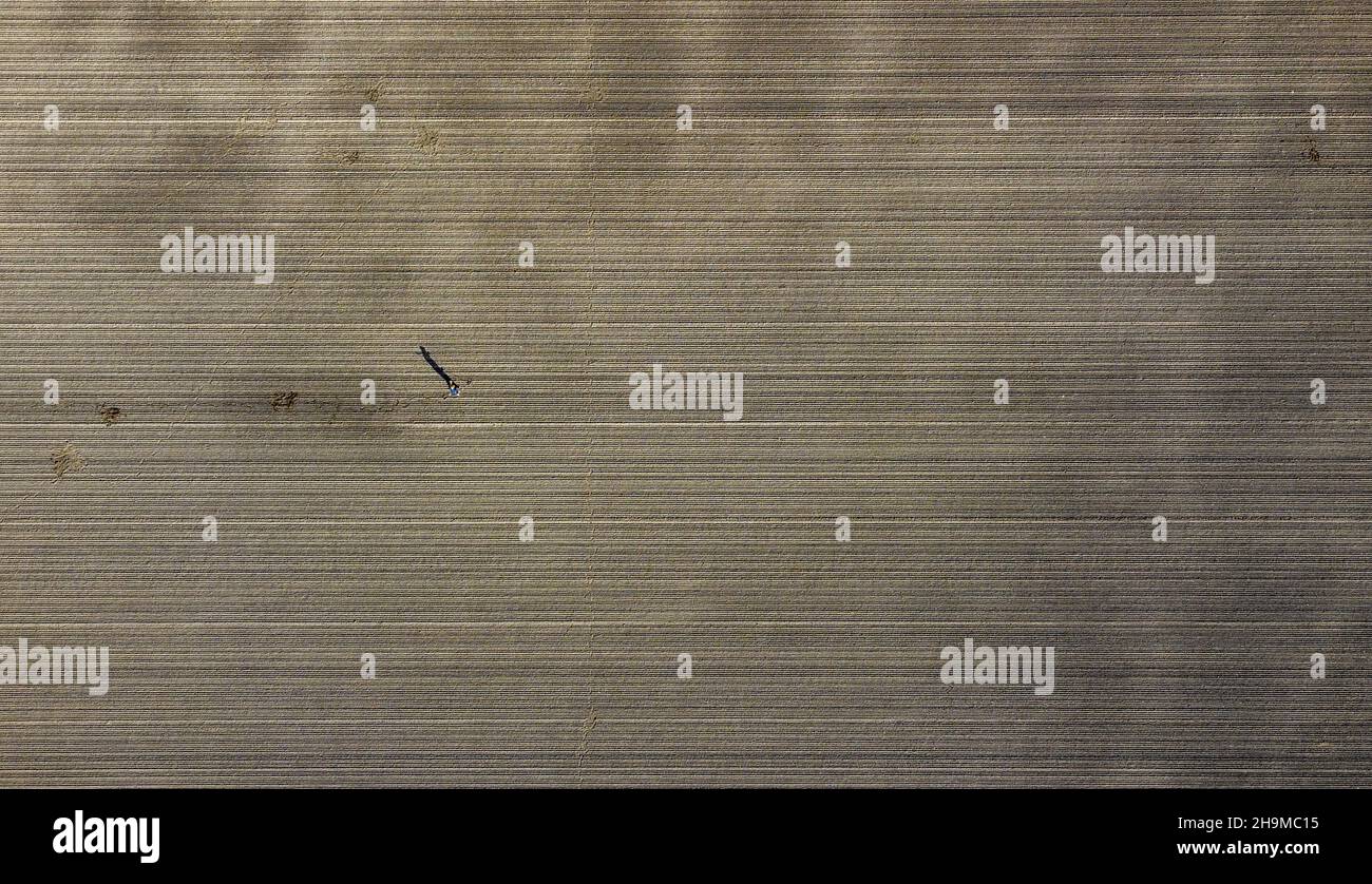 Detectorist searcing on newly sown land Stock Photo - Alamy