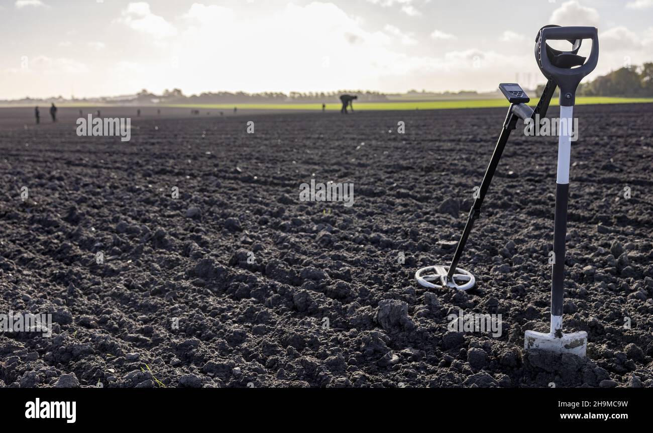 Detectorists field hi-res stock photography and images - Alamy