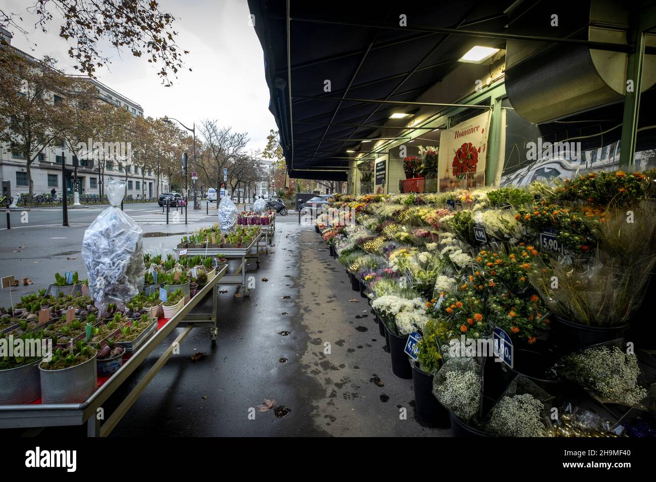 Beautiful flower shop in Paris, France Stock Photo - Alamy