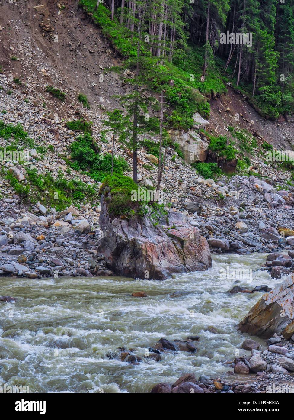 Tyrolean high forest hi-res stock photography and images - Alamy