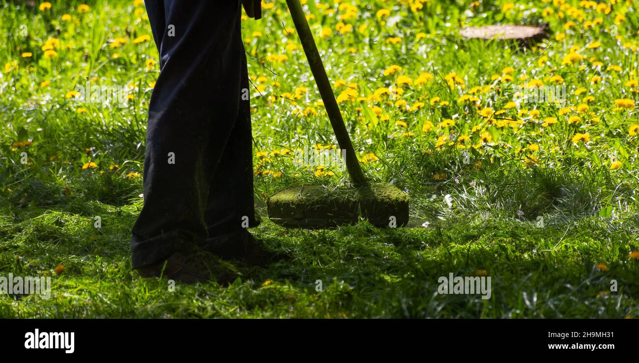 garden maintenance. green grass cut with equipment. use right tool for ...
