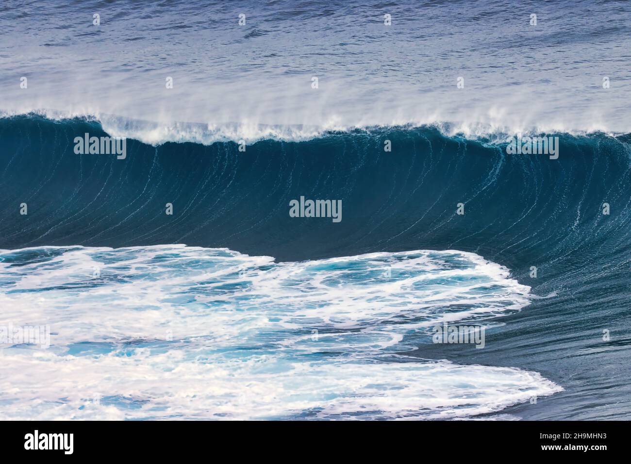 Massive cresting wave as it nears breaking on Maui Stock Photo - Alamy