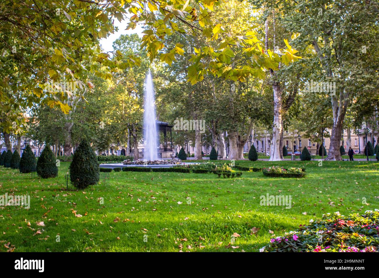 Beautiful park with green grass and rows of decorative small trees ...