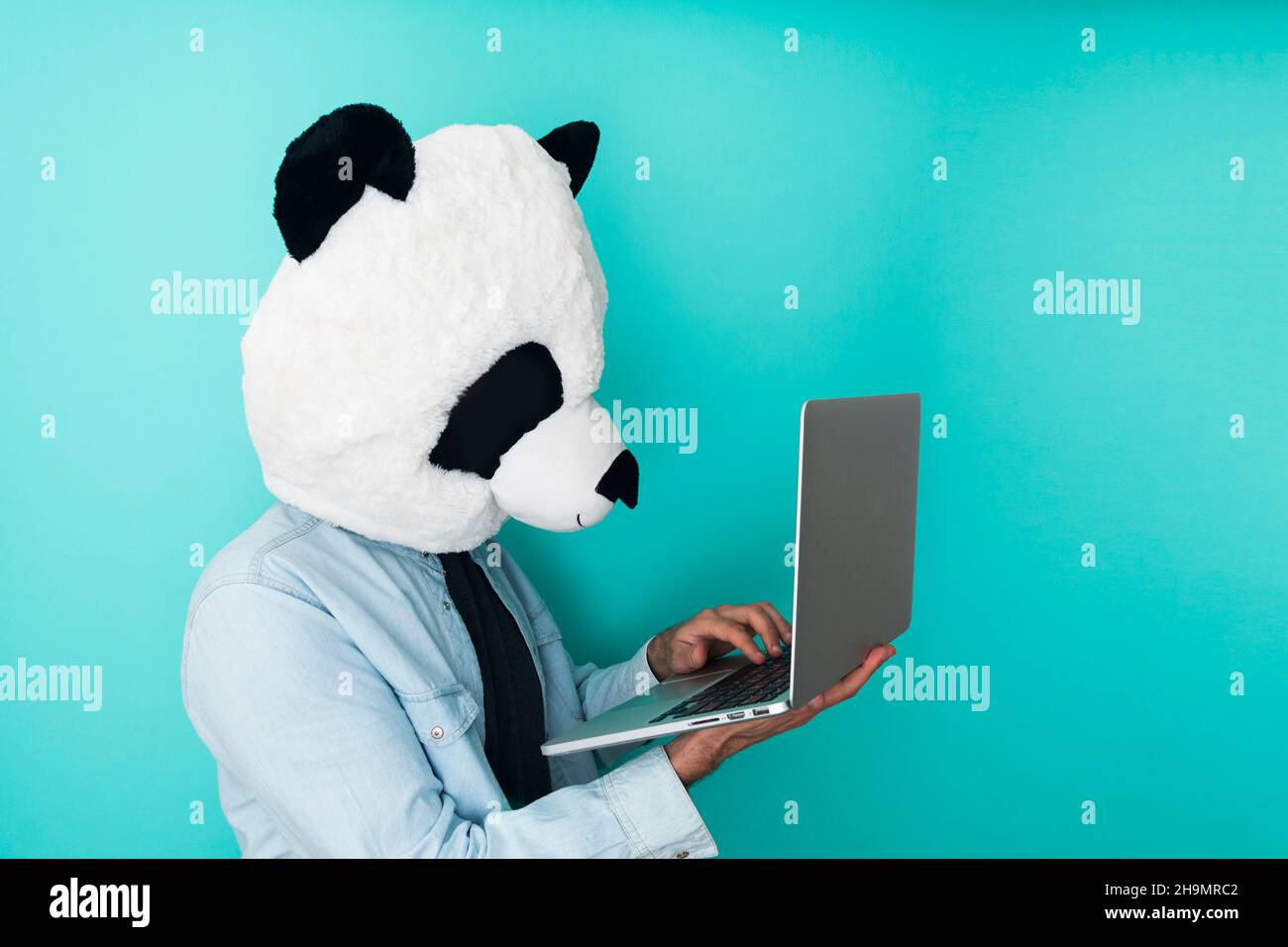 Happy man in panda mask using a laptop Stock Photo - Alamy