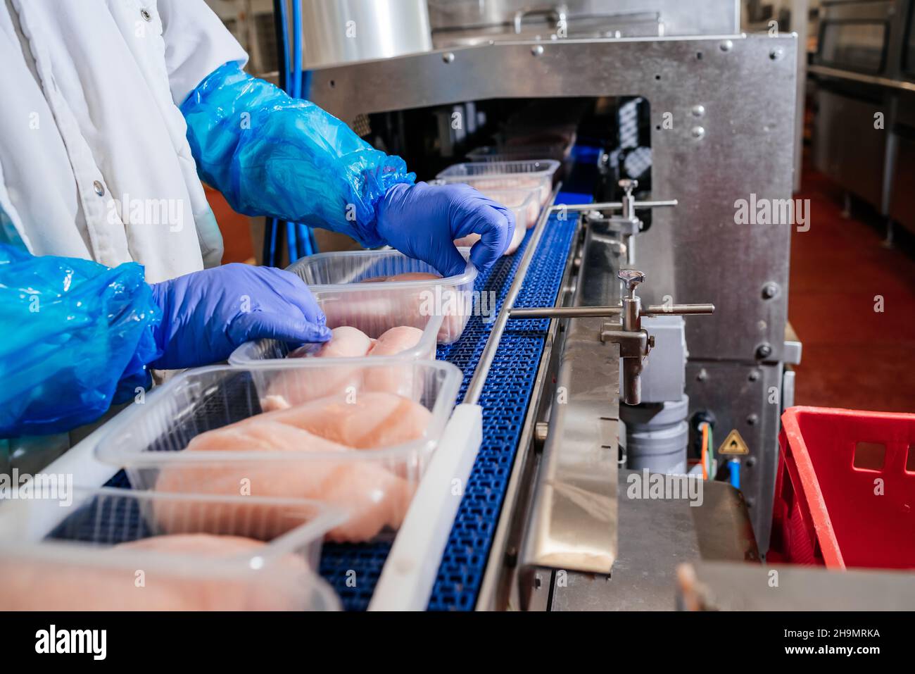 Line for the production of meat with packaging and cutting . Industrial ...